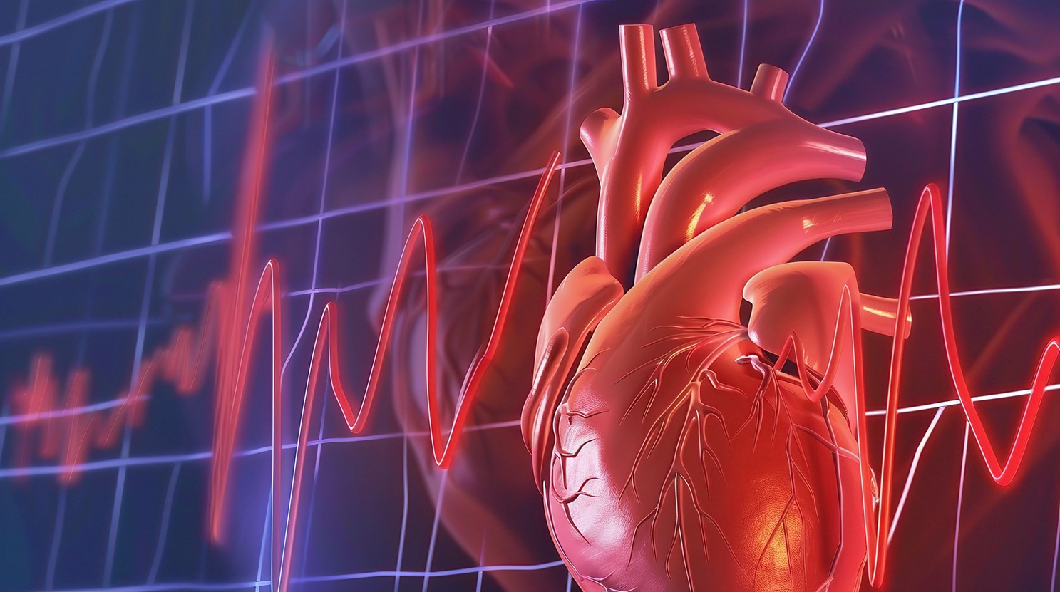 Everything You Need to Know About Irregular or Abnormal Heartbeat ...